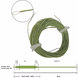 Aventik Trout Fly Fishing Line Weight Forward Floating Fly Line with Exposed Loop Easy Line ID(1pcs-Green,6F)