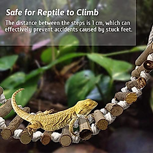 Hamiledyi Gecko Ladder Bridge, 2 PCS Wooden Reptile Ladders Hanging Bearded Dragon Rope Bridge Hermit Crab Climbing Toys Terrarium Accessories for Chameleons Turtle Lizard Frog