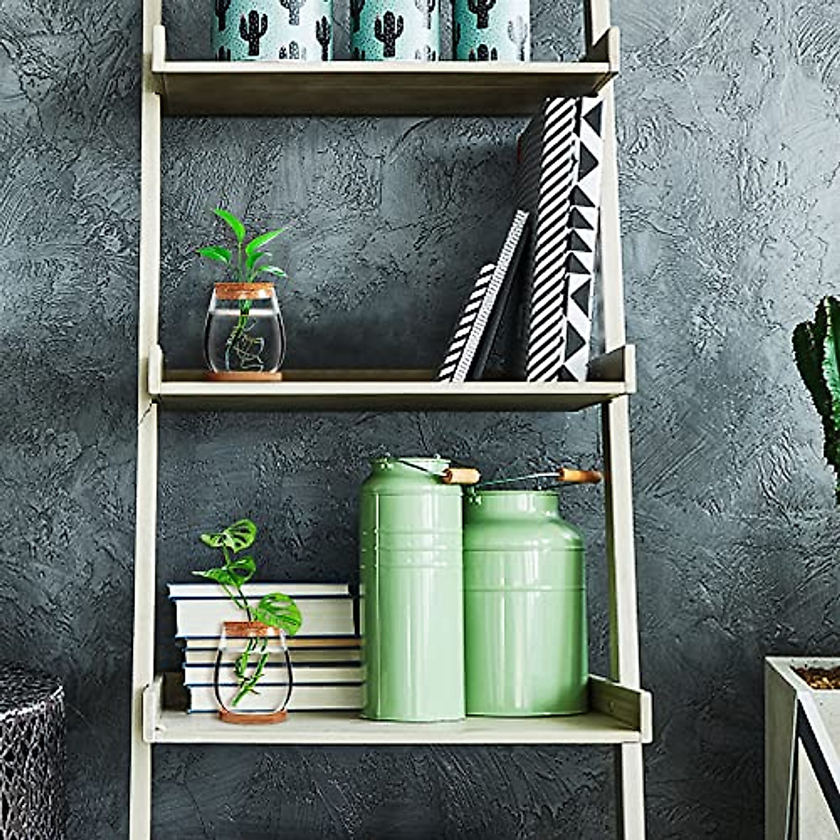 Biggun Plants Propagation Station - Desktop Plant Terrarium Glass Hydroponic Vases Water Plant Propagating Jars Gardening Gifts for Women Mom Plant Lovers (2Pcs, Separated Style)