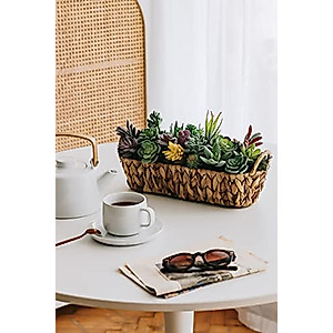 miltonson Artificial Succulent Plants - 18 Pack - Premium Fake Plants - Double Flocked Succulents - Realistic Textured Cactus - Face Succulent Plants - Mini Faux Succulents - Face Plant Decor