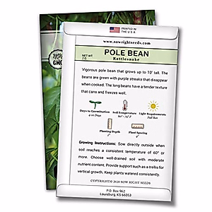 Sow Right Seeds - Pole Bean Seed Collection for Planting - Individual Packets Kentucky Wonder and Rattlesnake Pole Bean, Non-GMO Heirloom Seeds to Plant an Outdoor Home Vegetable Garden