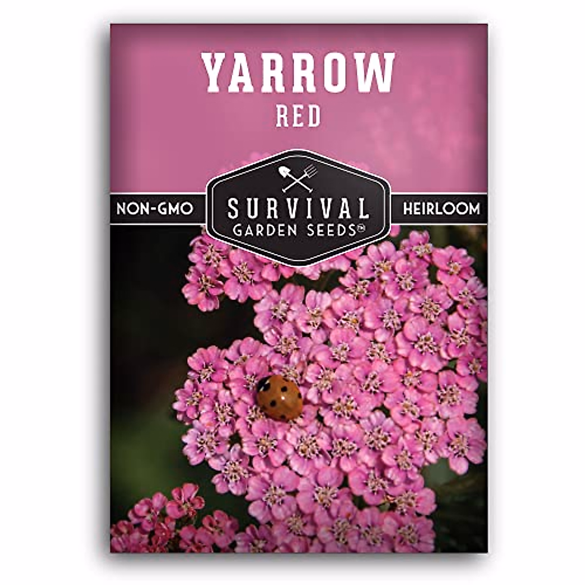 Red Yarrow Seed for Planting in The Garden - 1 Pack with Instructions to Plant and Grow Common Yarrow - Medicinal Herb Wildflowers - Heirloom, Non-GMO, Open-Pollinated Seeds for The Survival Garden