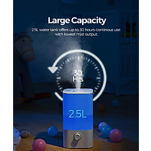 raydrop Cool Mist Humidifier Diffuser, 2.5L Essential Oil Diffuser, Top Fill Humidifier for Bedroom, Home and Office, Baby Humidifier with Adjustable Mist Output, Dial Knob, Auto Shut Off (White)