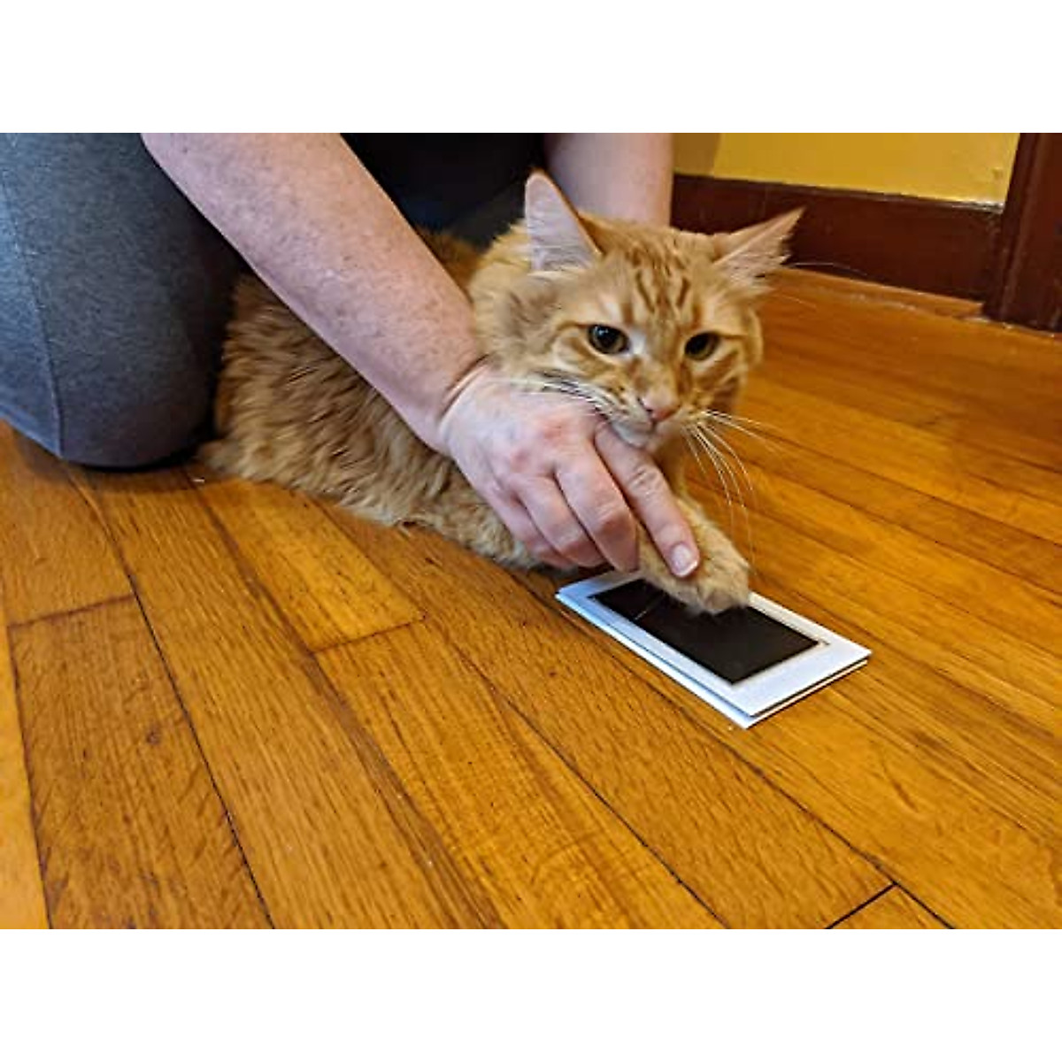 Green Pollywog - Extra-Large Clean Touch Inkless Ink Pad for Pets | Pawprints for Dogs & Cats Non-Toxic | Paw Print Stamp Kit | Dog Paw Print Kit | Cat Footprint Keepsake (2-Pack)