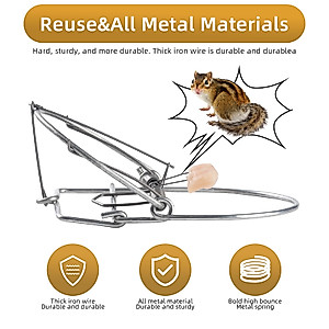 2 Pack Small Animal Traps Mouse Trap,Spring Trapt Rodent Cage,Suit for Rat,Reusable