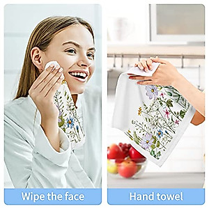 xigua Herbs and Wild Flower2 Wash Cloths 6 Pack - 12 x 12 Inch Super Soft Washcloths for Your Face and Body - 100% Cotton Highly Absorbent Baby Face Towel
