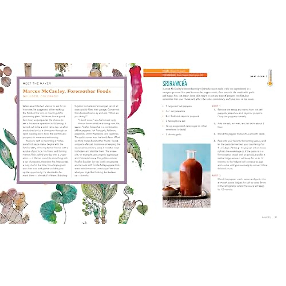 Fiery Ferments: 70 Stimulating Recipes for Hot Sauces, Spicy Chutneys, Kimchis with Kick, and Other Blazing Fermented Condiments