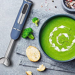 Rae Dunn Immersion Hand Blender- Handheld Immersion Blender with Egg Whisk and Milk Frother Attachments, 2 Speed Blender, 500 Watts, Stainless Steel Blade (Navy)