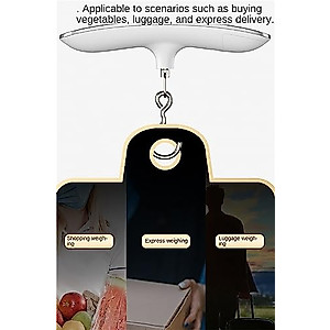 Luggage Scale, 50kg Hand Hanging Portable Travel Scale with Hook Electronic Baggage Weight Measuring Digital Weighing