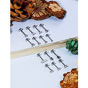 Vsnnsns 20G Threadless Push in Nose Rings for Women Men 316L Surgical Stainless Steel L Shaped Nose Studs Screw Bone Nose Rings Piercings 20 Gauge Nostril Piercing Nose Studs Jewelry 2.5mm CZ Silver