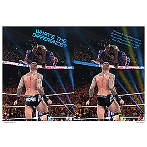 WWE SummerSlam Trivia and Activity Book