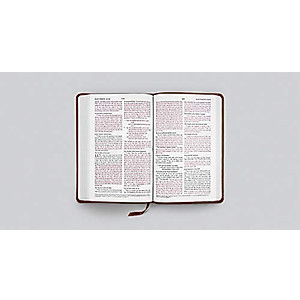 ESV Thinline Bible (TruTone, Royal Lion)