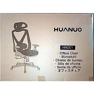 HUANUO Office Chair, Ergonomic Mesh Office Chair, Computer Chair with 2-Way Adjustable Lumbar Support, Headrest and Armrest, High Back Desk Chair with Tilt Lock Function