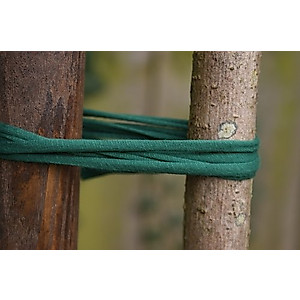 Biostretch Extra Wide Tree Ties and Large Plant String | Environmentally Smart Soft Green Plant Support and Garden Twine (Bio Extra Wide 26 ft / 8M)