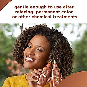 Clairol Professional Beautiful Collection Hair Color, 11w Honey Brown, 3 oz