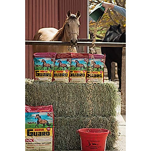 Horse Guard 10 lb, Equine Vitamin Mineral Supplement with Organic Selenium & Vitamin E