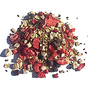 Snout and Shell Fruity Breakfast Blend Hermit Crab Dry Food - High Protein & Nutrient Blend Diet of Rolled Oats, Blueberries, Strawberry, Banana, Sprouted Seeds Mix - Aquatic Pet Snack Treat | 65g