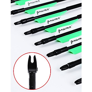 PANDARUS Archery 30inch 8mm Fiberglass Hunting Practice Arrows with Replaceable Arrowhead Spine 500 for Recure and Compound Bow Target