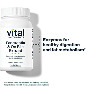 Vital Nutrients Pancreatin & Ox Bile Extract 500mg | Natural Digestive Enzymes for Women & Men | Supports Digestion of Protein, Fat, and Carbohydrates*| Gluten, Dairy & Soy Free | 60 Capsules