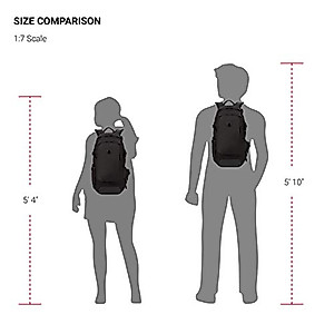 SwissGear 3598 Backpack Narrow Daypack, Black, 18-Inch