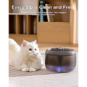 FEELNEEDY 12 Pack Cat Water Fountain Filter & 6 Pack Pump Sponges & 6 Pack Sound-Absorbing Sponges, Pet Water Fountain Filter for 84 fl oz/2.5L Cat Water Fountain (F-016B)