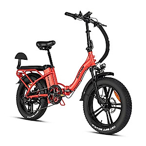 Rattan 750W Electric Bike for Adults 48V 13AH Removable Battery Foldable Electric Bikes LM/LF Pro Ebike 20" x 4.0 Fat Tire Electric Bicycles 2 Seater (LF RED, Standard)