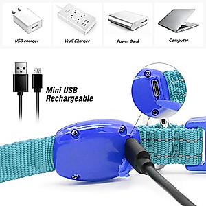 Visinite Light Up Dog Collars for Small Dogs,LED Dog Collar Light Rechargeable,Fully Adjustable Lighted Dog Collar,Glow in The Dark Dog Collars with Dog Lights for Night Walking,Blue