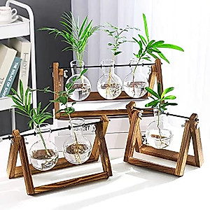 Kingbuy Plant Propagation Stations Terrarium Glass Desktop Planter with Retro Wooden Stand 3 Bulb Vases for Hydroponics Indoor Office Desk Home Decor, Plant Holder Lover Gifts for Women