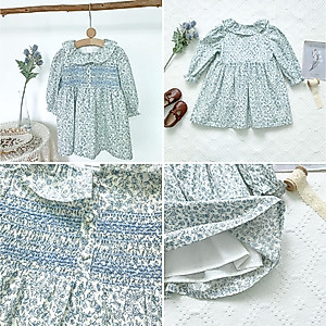 Curipeer Baby Girls Long Sleeve Floral Dress Flower Printed Smock Toddler Ruffle Dress for Autumn and Spring Blue 12M