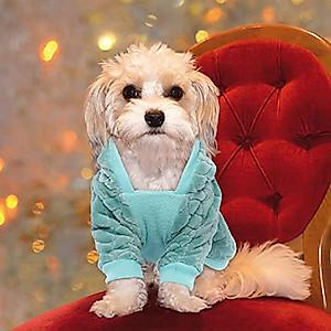 Yagamii Winter Dog Clothes Fleece Flannel Dog Hoodie Warm Dog Coat Jacket for Small Dogs Cats Puppy, Dog Sweater with Hat and Leash Hole Green Pet Clothes Cold Weather Dog Apparel