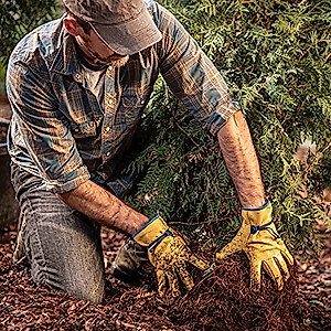 Wells Lamont unisex adult Men s Water Resistant Leather Work Gloves with Wrist Closure HydraHyde Technology Large Wells Lam, Saddletan, Large Pack of 1 US