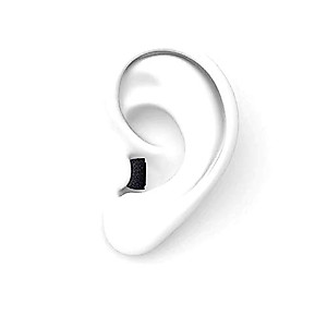 E ECSEM Replacement Eartips Premium Memory Slow Rebound Foam Ear Tips Noise Reducing Earbud Tips Compatible with Apple AirPods Pro Earphone (L, Black&Gray)
