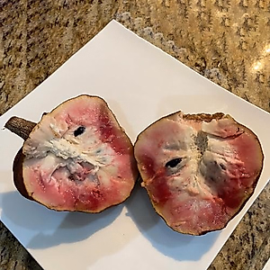 QAUZUY GARDEN 10 Sugar-Apple Seeds, Annona Squamosa Seeds, Custard Apple Seeds, Sweetsops, Grow Your Own Prolific Perennial Tropical Exotic Fruit Tree Plant