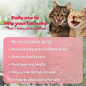 Love Can Fly Cat Teeth Cleaning Powder for Cat, Plaque, Tartar Remover for Oral Health, Eliminates Bad Breath, Natural Ingredients Fucoidan Brown Algae, Norwegian Kelp Persimmon Tannin 1.4 Oz