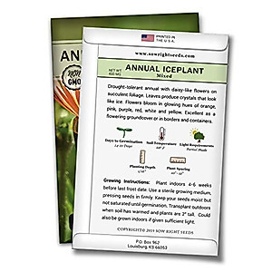 Sow Right Seeds - Ice Plant Flower Seeds for Planting, Beautiful Flowers to Plant in Your Garden; Non-GMO Heirloom Seeds; Wonderful Gardening Gifts (1)