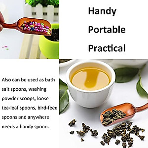 Qioly 10 PCS Plastic Mini Gardening Shovel Spoons Soil Scoops, Cultivation Digging Transplanting Tools for Succulents Potted Flowers, Bath Salt Spoons/ Washing Powder Scoops/ Loose Tea-Leaf Scoops