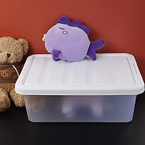 Jandson 14 Quart Clear Frosted Bin, Plastic Latching Box/Container with White Lid, Pack of 2, F