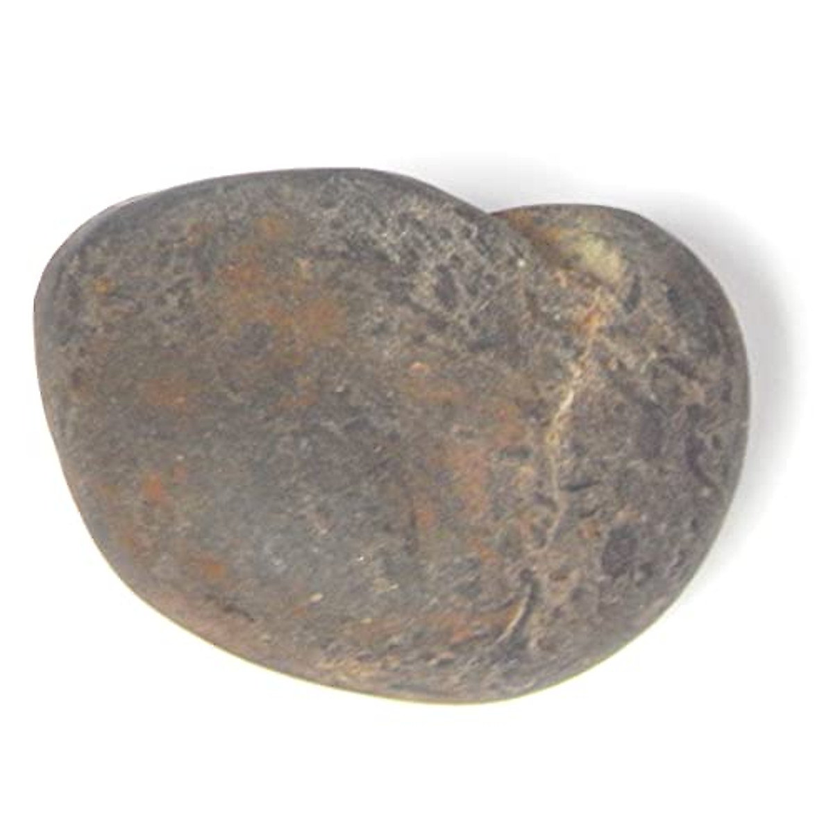 XUETZALCOATL Sacred Adwaitya Maha Vishnu Shaligram Nepal Kali Gandaki