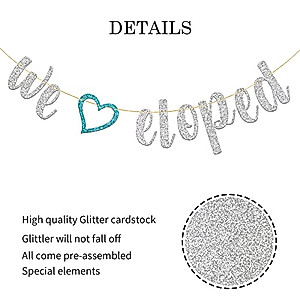 WeBenison We Eloped Banner, Bridal Shower Party Supplies, Just Married, Engagement Bachelorette Wedding Party Decorations Silver Glitter