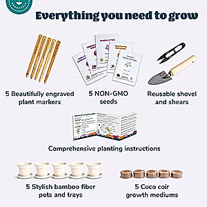 Flower Growing Kit by Beanstalk - 5 Types of Non-GMO Flower Seeds, Bachelor Button, Zinnia, Marigold, Virginia Stock, Baby's Breath - Best Birthday Garden Plant Gifts for Girls, Kids Age 5 6 7 8 9 10