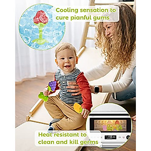 Teething Toys for Babies, 10 Pack Silicone Baby Teethers, Frozen Baby Teething Toys, Fruit Shape, BPA-Free, Natural Organic Soft & Textured