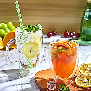 Double Wall Glass Coffee Mugs Set of 2, 16 oz Insulated Coffee Mug with Handle, Clear Borosilicate Glass Coffee Cups for Cappuccino, Tea, Lightweight and Microwave Safe, Ideal Gift for Christmas