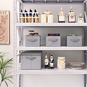 GRANNY SAYS Bundle of 3-Pack Shelf Storage Baskets & 1-Pack Closet Hanging Storage Shelves