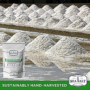 Flaky Sea Salt, Baja Fleur de Sel Flake Salt, Gourmet Finishing Salt Flakes for Cooking or Baking, 7 oz Pouch - Sea Salt Superstore