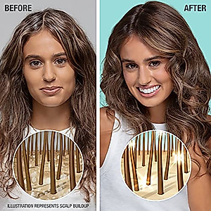 Neutrogena Gentle & Soft Healthy Scalp Conditioner for Sensitive Scalp & Lightweight Moisture, with Micellar Water, pH-Balanced, Paraben & Phthalate-Free, Color-Safe, 12oz