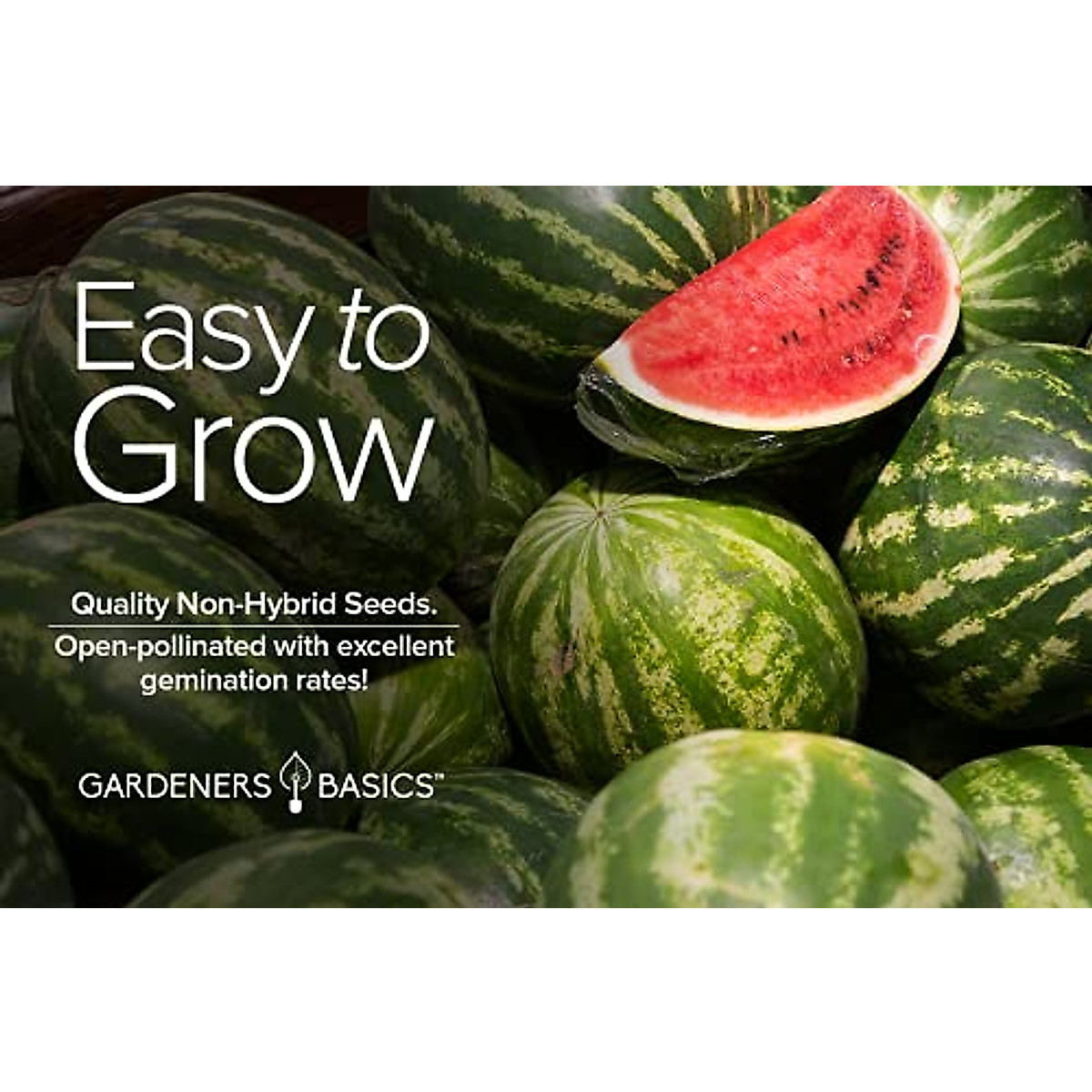Watermelon Seeds for Planting - Crimson Sweet Heirloom Variety, Non-GMO Fruit Seed - 2 Grams of Seeds Great for Outdoor Garden by Gardeners Basics