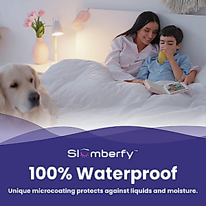 Cal King Size Waterproof Bamboo Mattress Encasement by Slumberfy - Premium Skin-Safe Mattress Protector with 360° EZ Zipper, Lab-Tested Bed Bug Protection, Zippered Encasement (72x84 in)