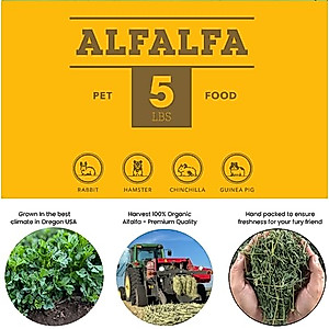 Bulk Fresh Alfalfa Hay 80oz by Bunny Honey - USDA Organic Hay for Small Select Pets, Guinea Pigs, Rabbits, Hamsters - Best Cut & Delivered Fresh - Promotes Healthy Digestive Function - 5 Pound