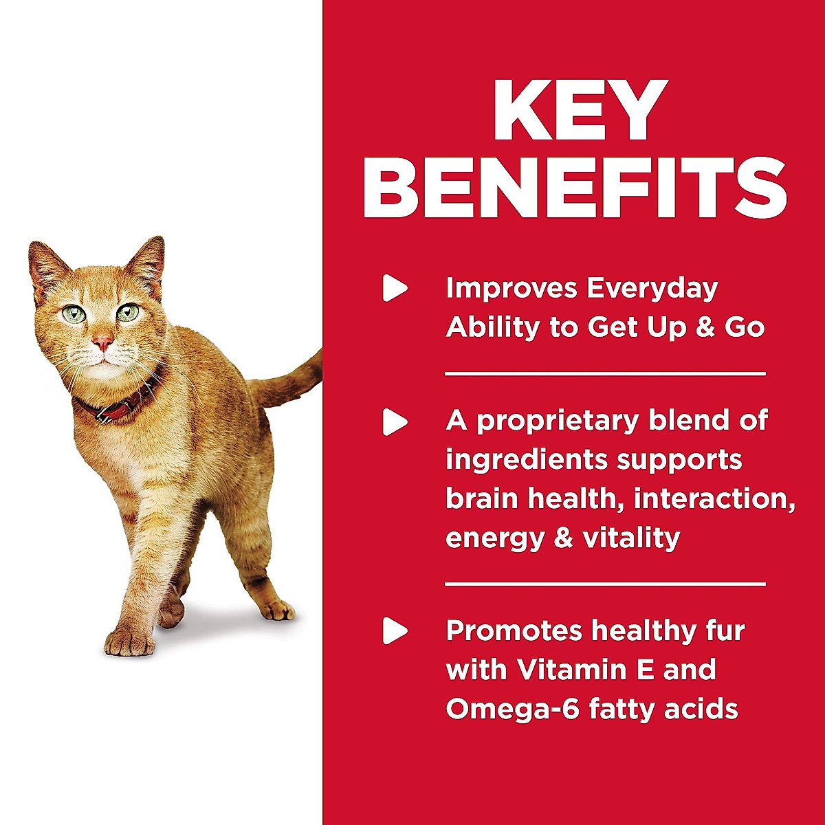 Hill's Science Diet Adult 7+ Senior Vitality Dry Cat Food, 6 lb. Bag