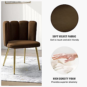 NIOIIKIT Velvet Dining Chairs, Modern Vanity Chairs, Upholstered Accent Chairs with Gold Metal Legs, Comfy Side Chair with Shell Backrest Design for Dining Room, Living Room, Bedrooms (Brown)